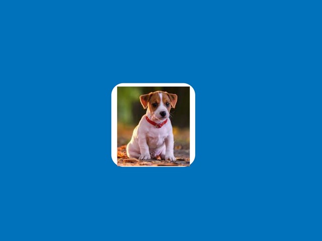 Pedro Free Games online for kids in Nursery by Cida Melo