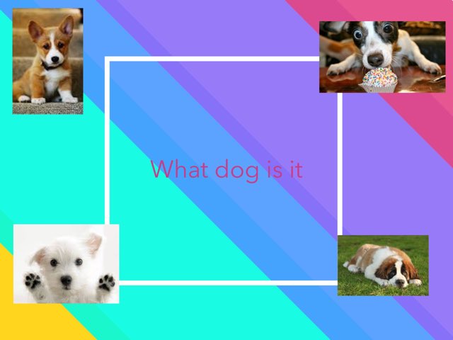 Guess That Dog Free Games | Activities | Puzzles | Online for kids ...
