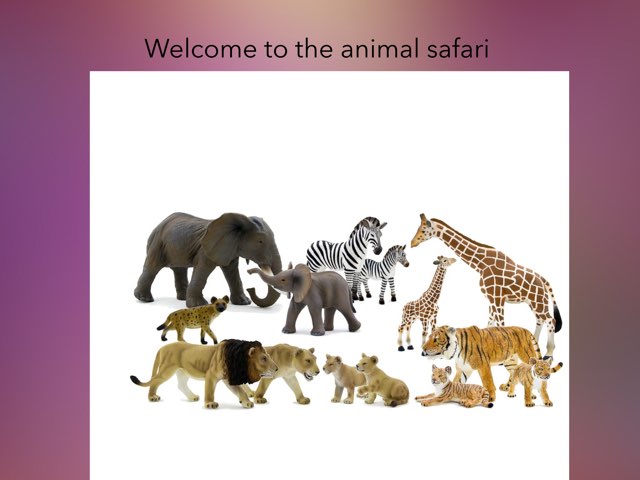Animal Safari Free Activities online for kids in Kindergarten by Amanda ...