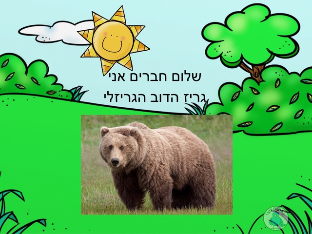 דוב משחקי אונליין חינם לילדים בגילאי 2-3 של Adi Avraham