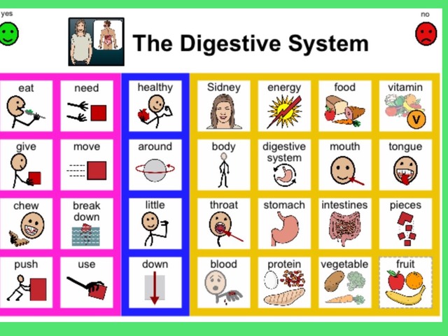 January Unique Unit Chapter 2: The Digestive System (Sight Words) Free ...