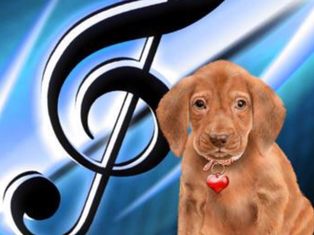 Vocal Zoo Lite Free Games | Activities | Puzzles | Online for kids ...