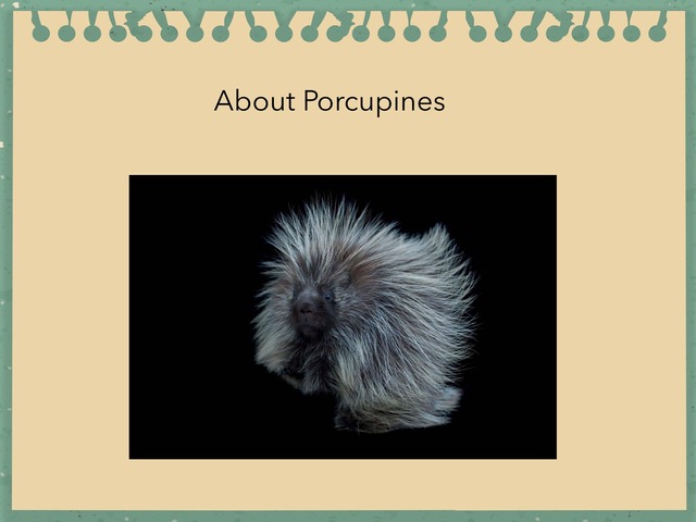 Porcupines Free Activities online for kids in 1st grade by Audrey