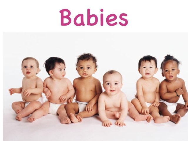 All About Babies Free Games online for kids in Nursery by Sue Hart