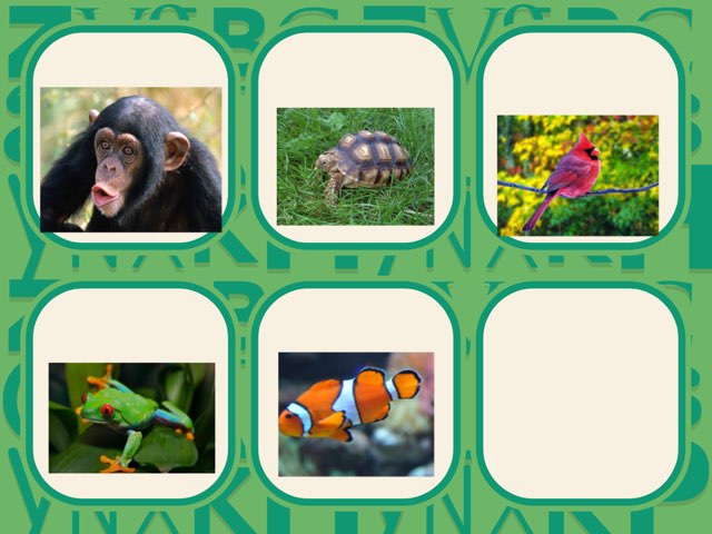 Sorry if it is bad first game made by me Free Activities online for ...