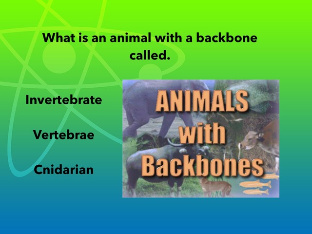 Chapter 1 Sponges, Cnidarians And Worms Free Activities online for kids ...