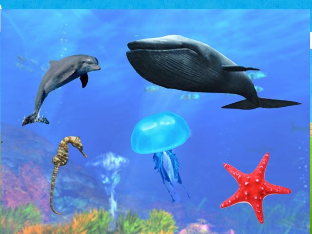Prep STP Animals In The Water Free Activities online for kids in ...