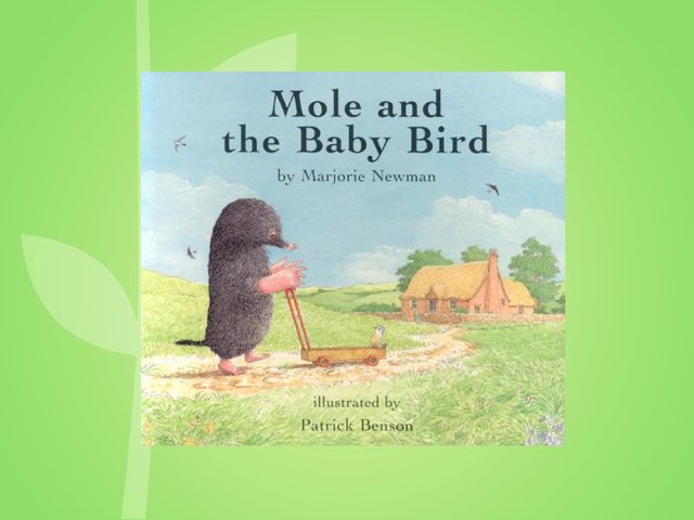 Mole And The Baby Bird Vocabulary | Online English Games for desktop ...