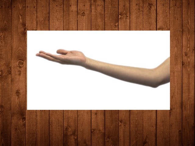 CDI Body Parts (no words) Free Games online for kids in Nursery by ...