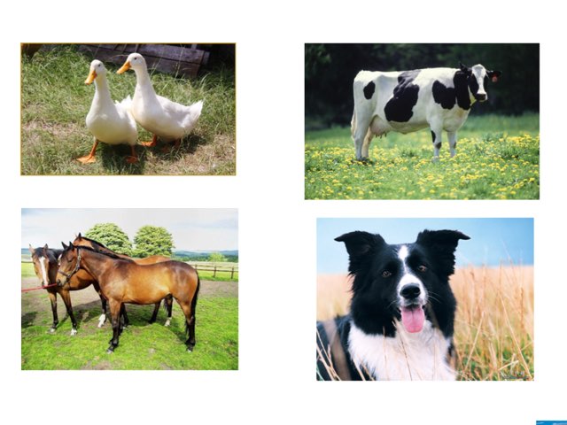 Farm Animals 1 Free Games online for kids in Nursery by Heather Schwager