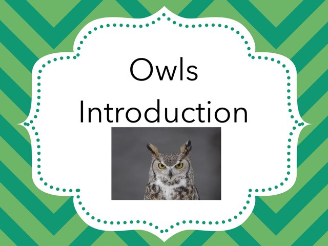 Owl Introduction Free Activities online for kids in 3rd grade by Sarah ...