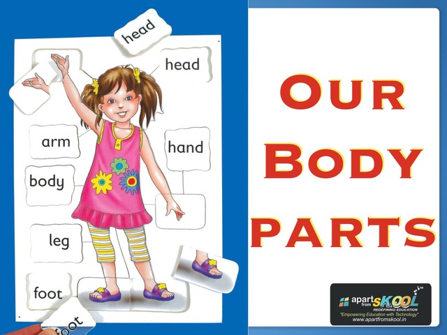 Our Body Parts New Free Activities online for kids in 1st grade by ...