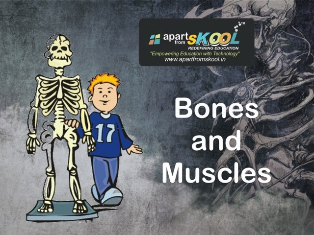 Bones And Muscles Free Activities online for kids in 2nd grade by apart ...