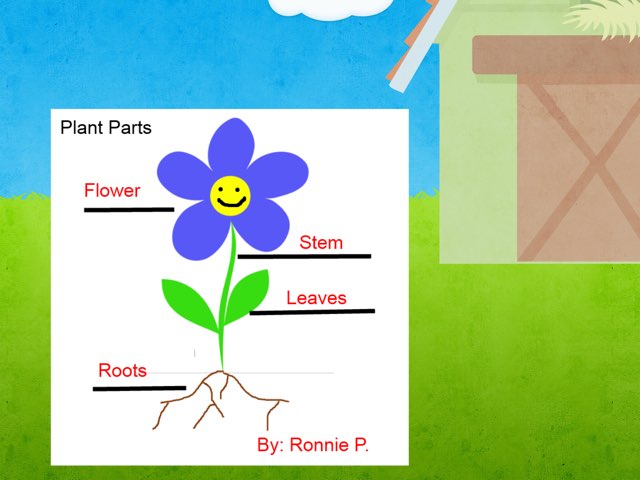 This talked about parts of a plant Free Games online for kids in ...