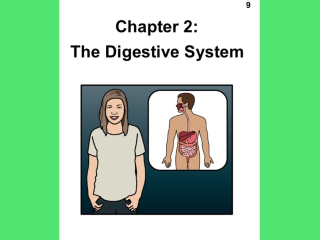 Language Studies (Native) | Sight Words | January Unique Unit Chapter 2 ...