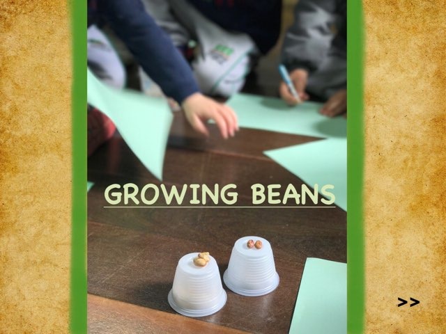 G4B - Growing Beans Free Games | Activities | Puzzles | Online for kids ...