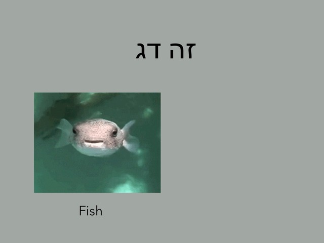 ראש השנה משחקי אונליין חינם לילדים בגן חובה של Daniel Shiner