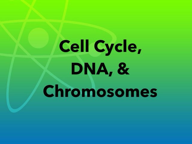 Cell Cycle, DNA, & Chromosomes Free Activities online for kids in 7th ...