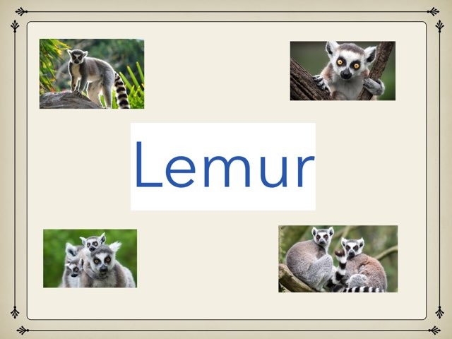 Lemur Free Games | Activities | Puzzles | Online for kids | Preschool ...