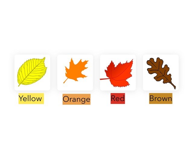 Fall Color Leaves Free Games online for kids in Nursery by Dana Shalmoni