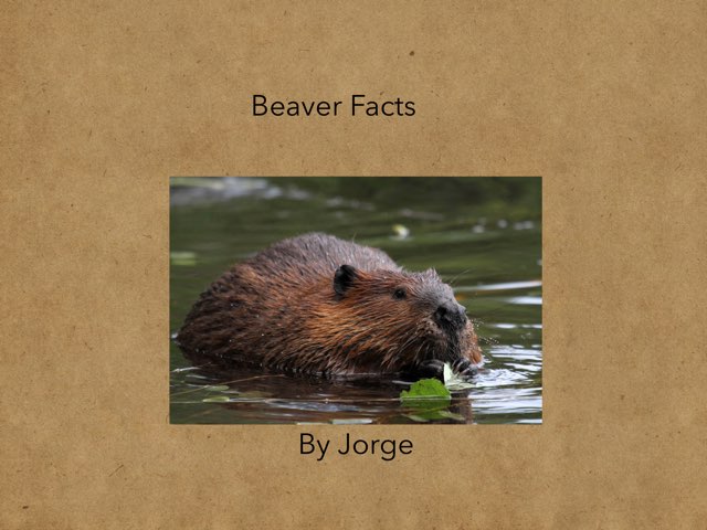 Beaver Facts Free Activities online for kids in Kindergarten by ...