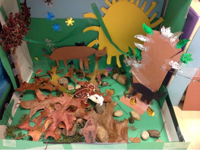 511 Temperate Forest Free Games online for kids in Nursery by 2nd Grade