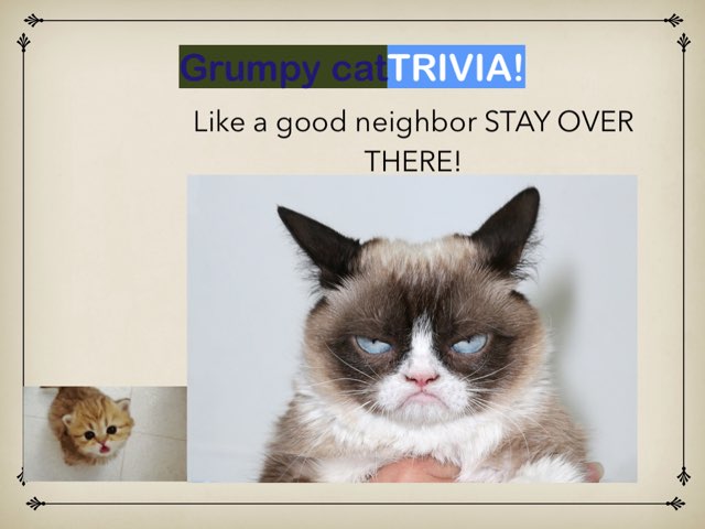 Grumpy Cat Free Activities online for kids in 4th grade by Kiraremkus pika