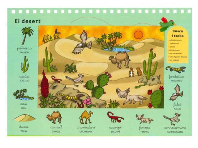 Animales del desierto Free Activities online for kids in 9th grade by ...