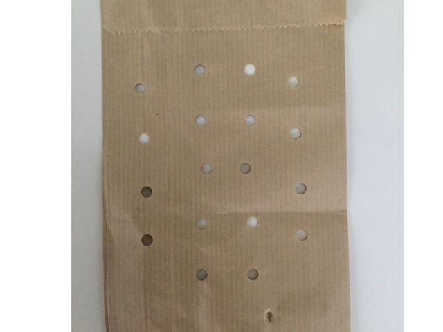 Paper Bag Free Games online for kids in Nursery by Hcp3 Teacher