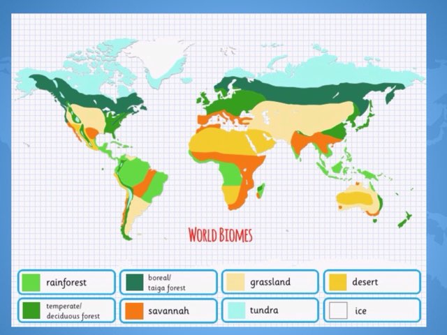 Biomes Free Activities online for kids in 1st grade by RGS Springfield