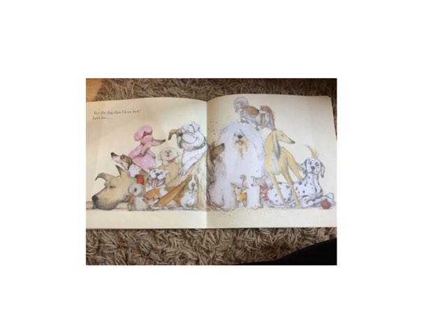 Dog book Free Games online for kids in Nursery by Class Two
