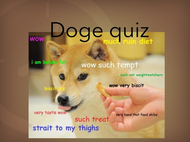 Doge Quiz Free Activities online for kids in Kindergarten by Noah Tan