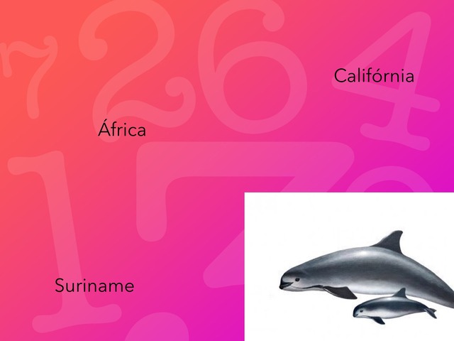 Vaquita Free Activities online for kids in 4th grade by Thomas Jefferson