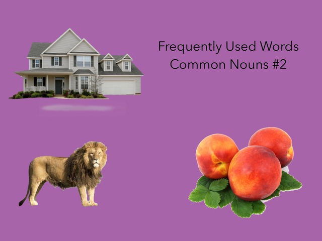 Common Nouns #2 Free Activities online for kids in 1st grade by Carol Smith