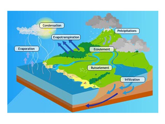 Le Cycle De L'eau Free Activities online for kids in Kindergarten by ...