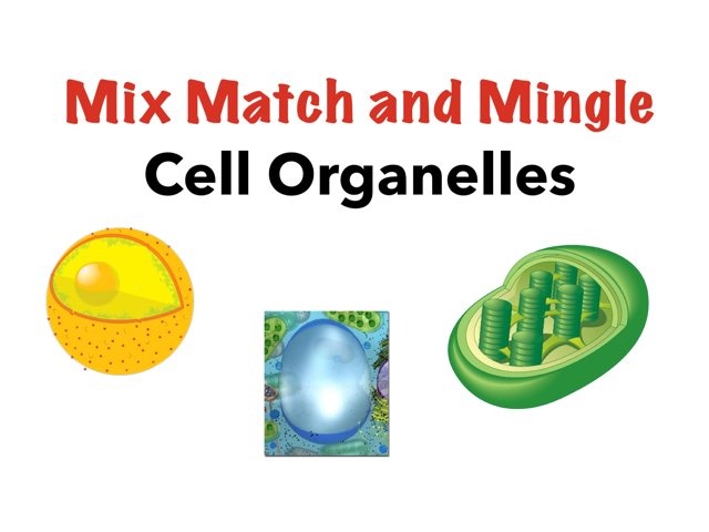 Mix Match And Mingle Cell Organelles DPISD Free Activities online for ...