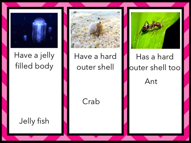 Invertebrates Free Games online for kids in Nursery by Lillian Humphries