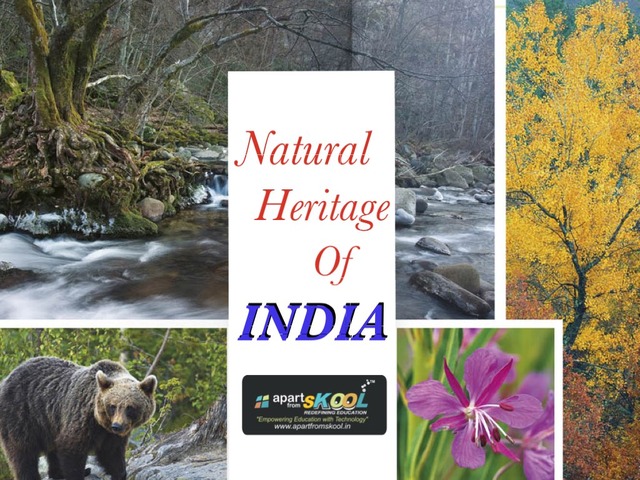 Natural Heritage Free Activities online for kids in 5th grade by apart ...