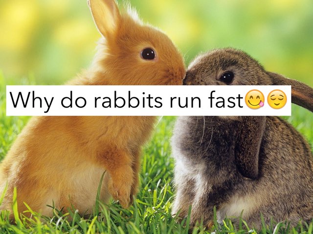 Why Do Rabbits Run Fast By:Karla Free Games online for kids in Nursery ...
