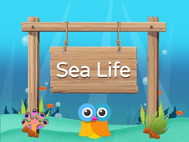 Wikids - Animals: Sea Life Free Games online for kids in Nursery by Wikids