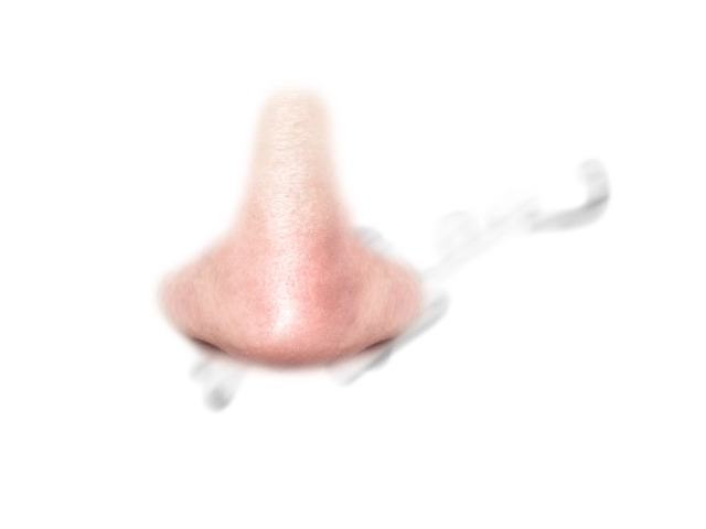 Fddfggf Free Games online for kids in Nursery by زياد الزهراني