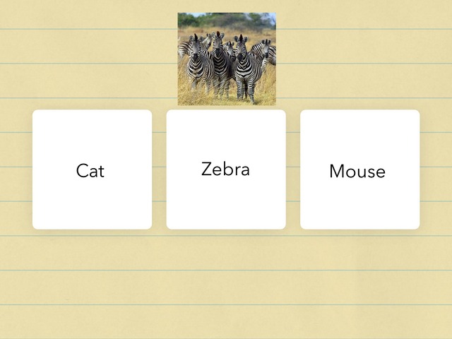 Animals Free Activities online for kids in 7th grade by Amal Hamad