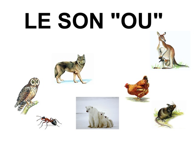 LE SON OU Free Activities online for kids in 1st grade by Valerie Escalpade