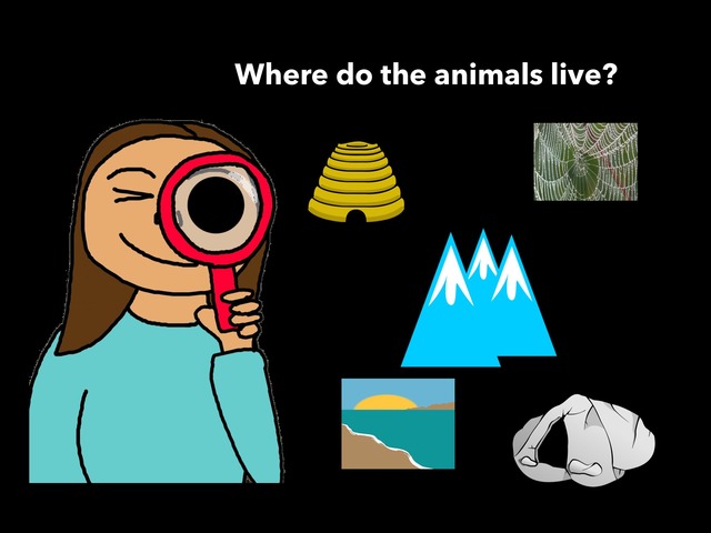 Where Do These Animals Live? Free Games | Activities | Puzzles | Online ...