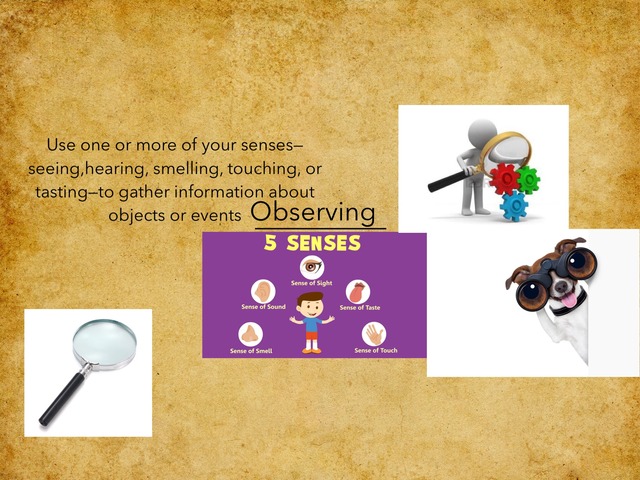 Science Inquiry- Observing Free Activities online for kids in 4th grade ...