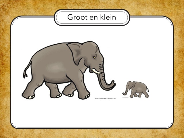 Groot Of Klein Free Games | Activities | Puzzles | Online for kids ... Groot Of Klein Free Games | Activities | Puzzles | Online for kids ...