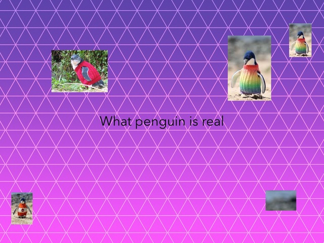 Penguin Quiz Free Games | Activities | Puzzles | Online for kids ...