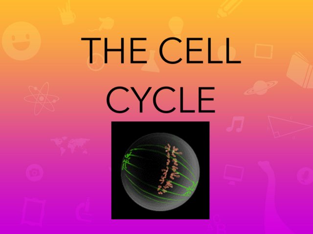 Cell Cycle Free Activities online for kids in 7th grade by Michelle Knight