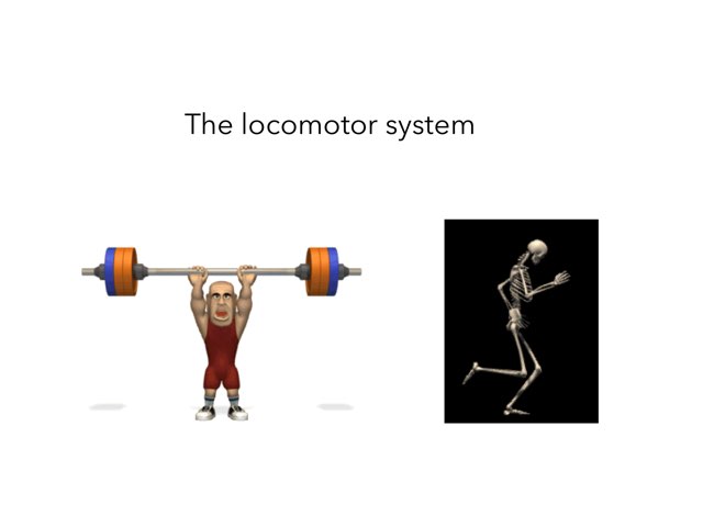 The Locomotor System Free Games online for kids in Nursery by Arantxa ...