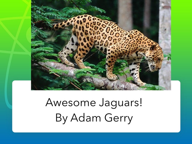 Awesome Jaguars Free Activities online for kids in 1st grade by Adam